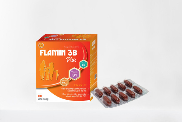 Flamin 3b Plus Mediphar (h/100v)